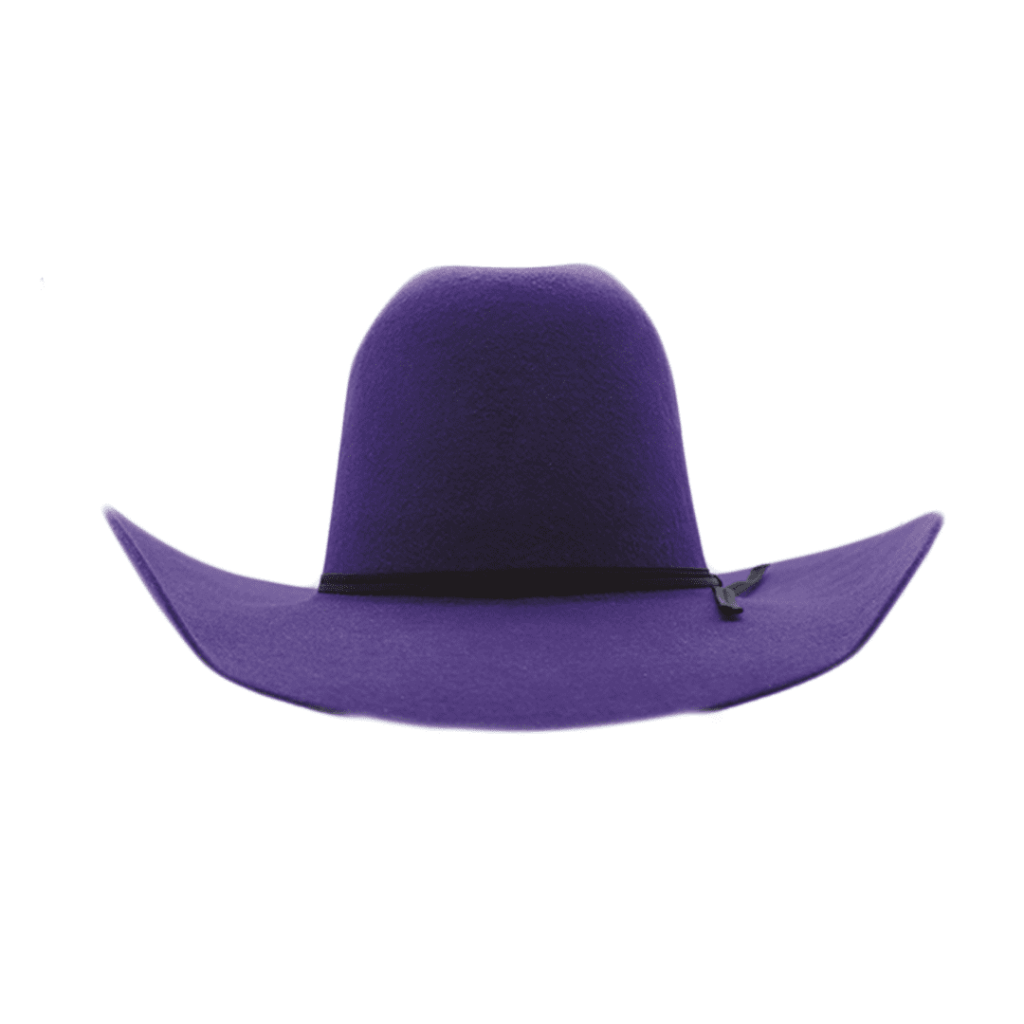 Texana Vaquera Morada Minnick - El Retoñito Tienda Vaquera